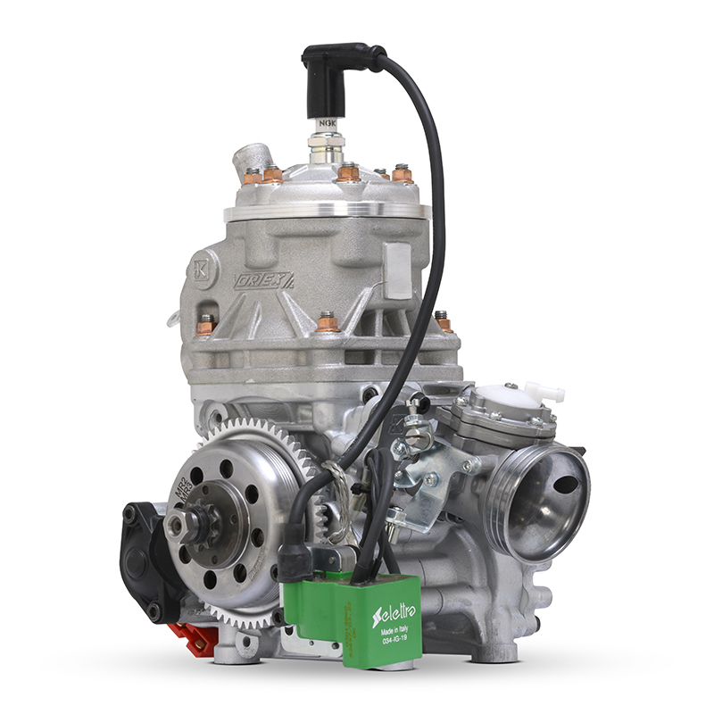 100 Days to ROK Cup USA ROK Vegas 2025 - eKartingNewseKartingNews